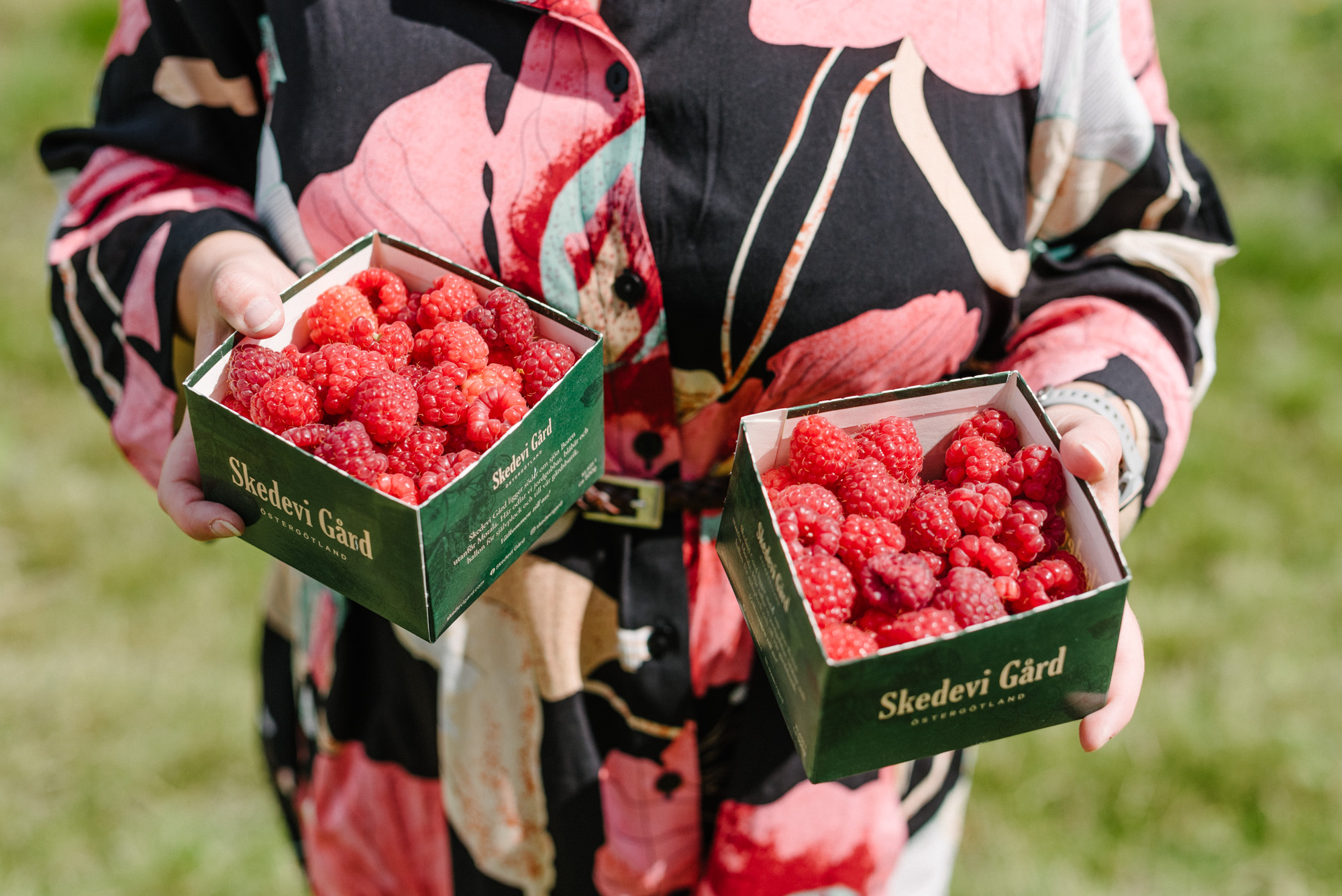 Hallon! Självplock på Skedevi Gård – dessi.se